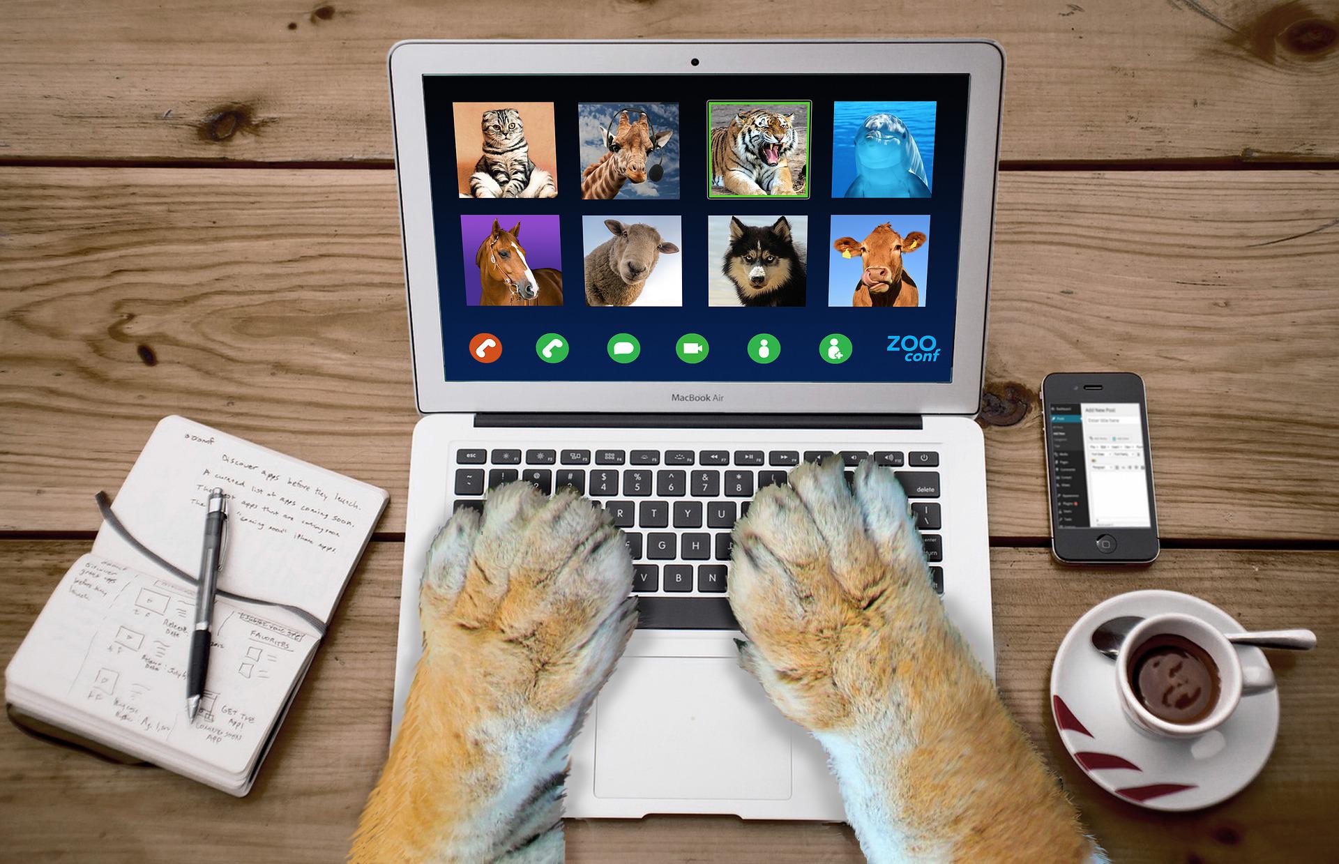 Language Exchange via Group Calls on Inatlantis - Inatlantis Blog
